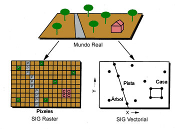 Teledetección y Sistemas de Información Geográfica (SIG)